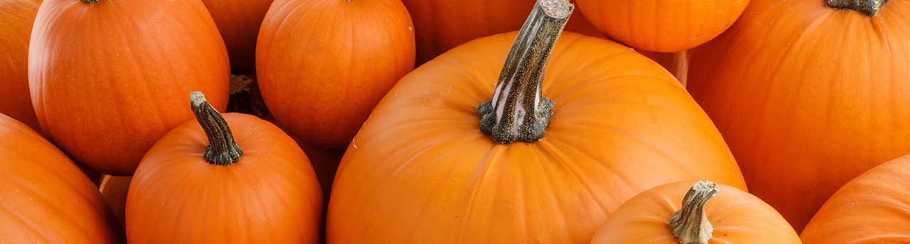 Delightfully Surprising Pumpkin Recipes - CTown Supermarkets
